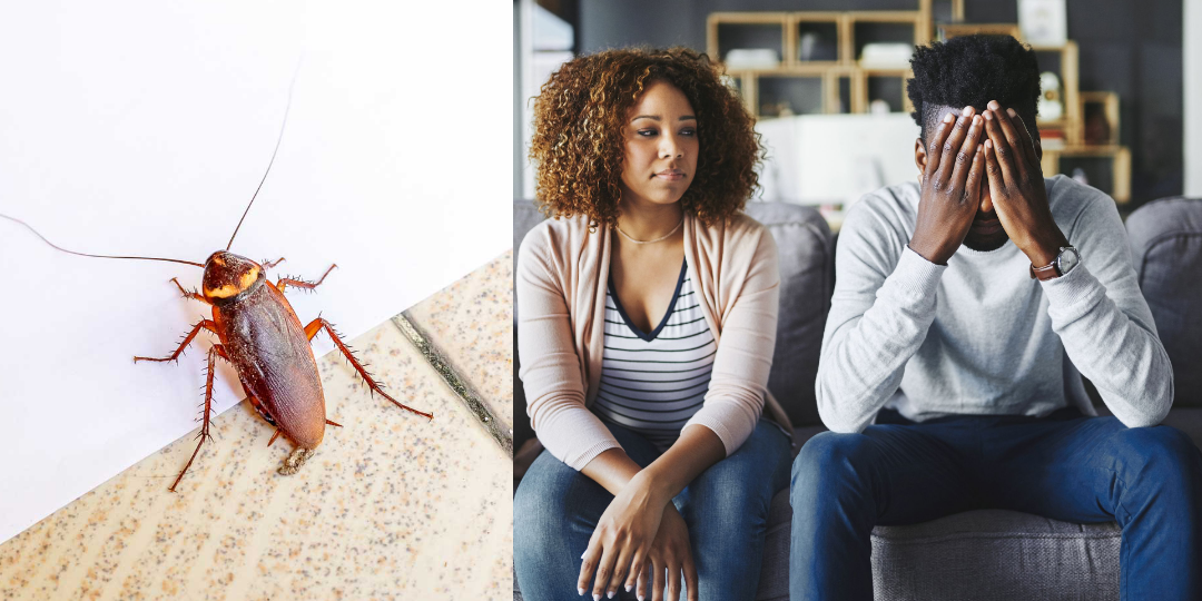 What A Man’s Reaction To A Flying Cockroach Says About Him In Bed | Zikoko!