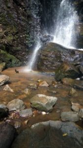 10 Pictures Of Erin-Ijesha Waterfalls That Will Blow Your Mind | Zikoko!