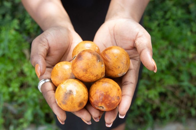5 Things You Probably Don't Know About Agbalumo | Zikoko!