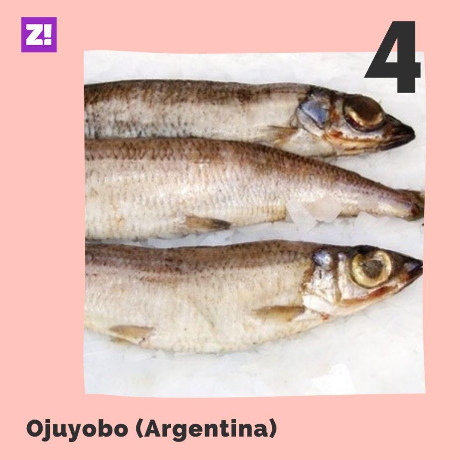 Ranked: What's The Best Fish Ever? | Zikoko!