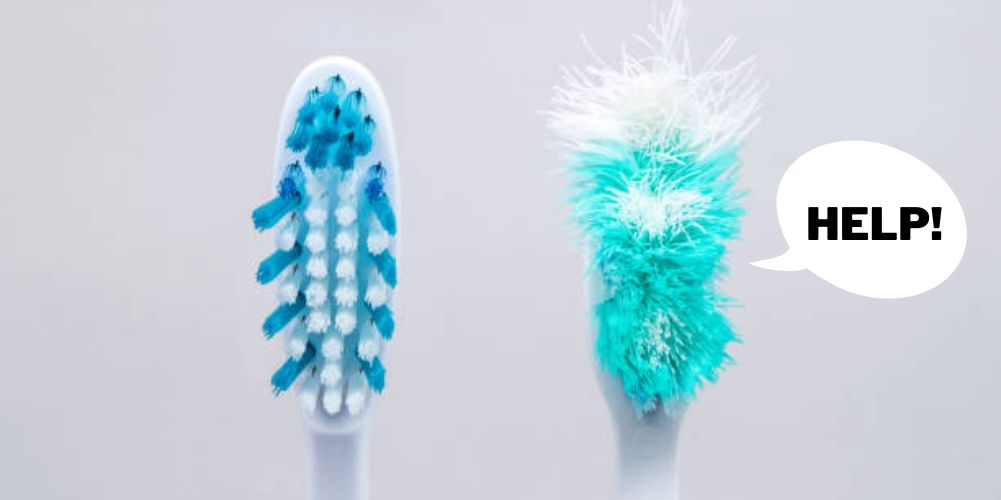 QUIZ: When Last Did You Change Your Toothbrush?