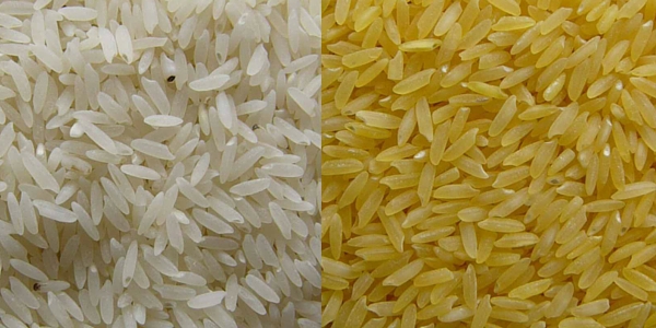 The World Is Running Out Of Rice But Can You Imagine How Nigerians ...